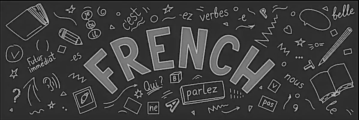 French Language Training - Beginners & Intermediate Level